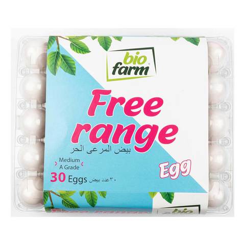 Bio Farm Free Range Eggs x30 in Organic Dairy Products - Dubai Grocers
